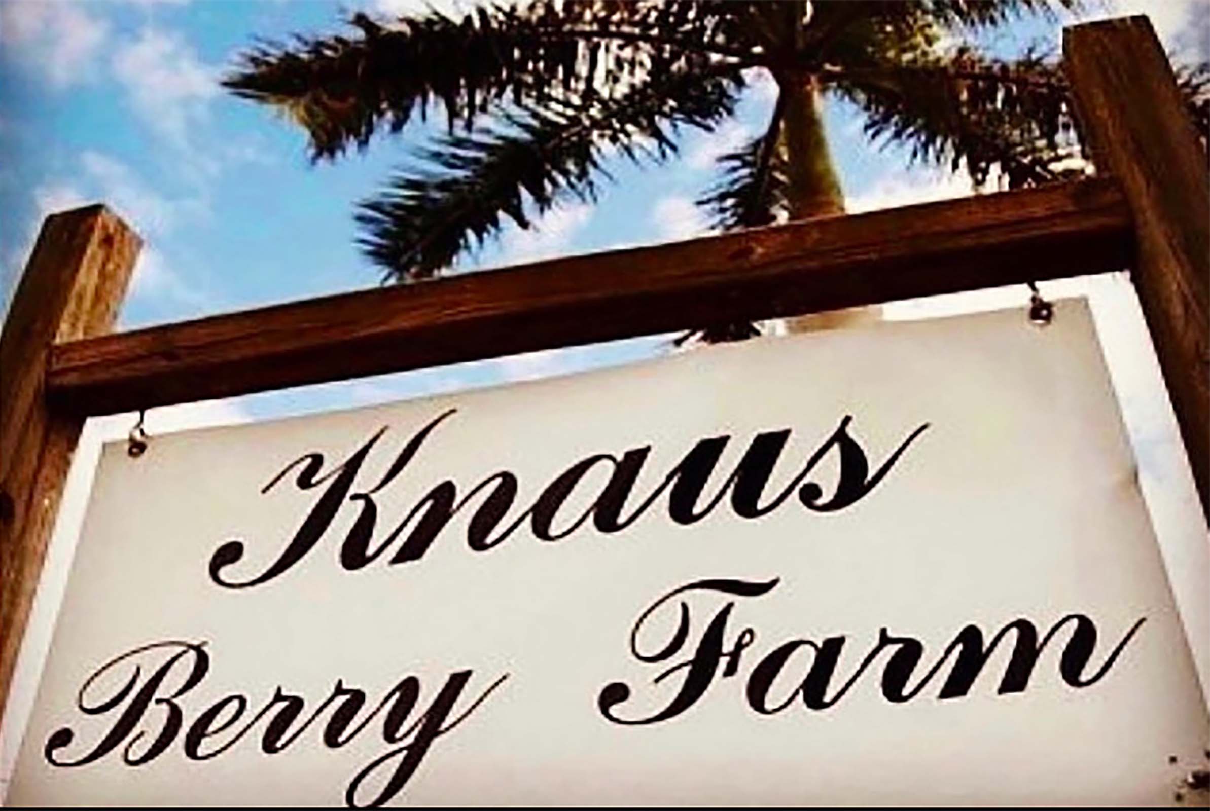 Miami For Kids: Outdoor Activities & Parks - Miami Luxury Homes