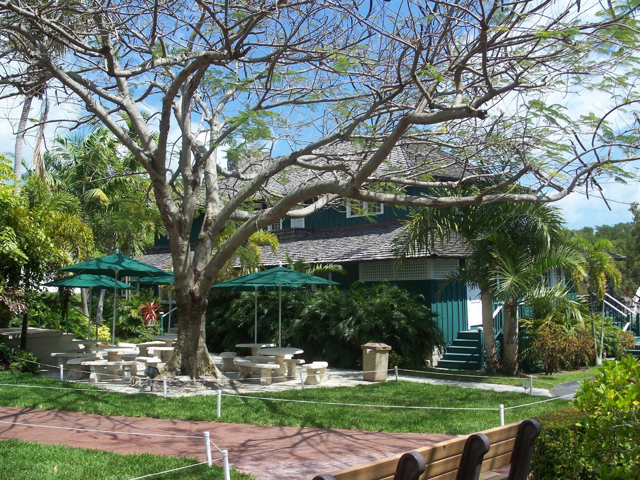 One Of The World's Top Schools Is Based In Miami's Coconut Grove ...